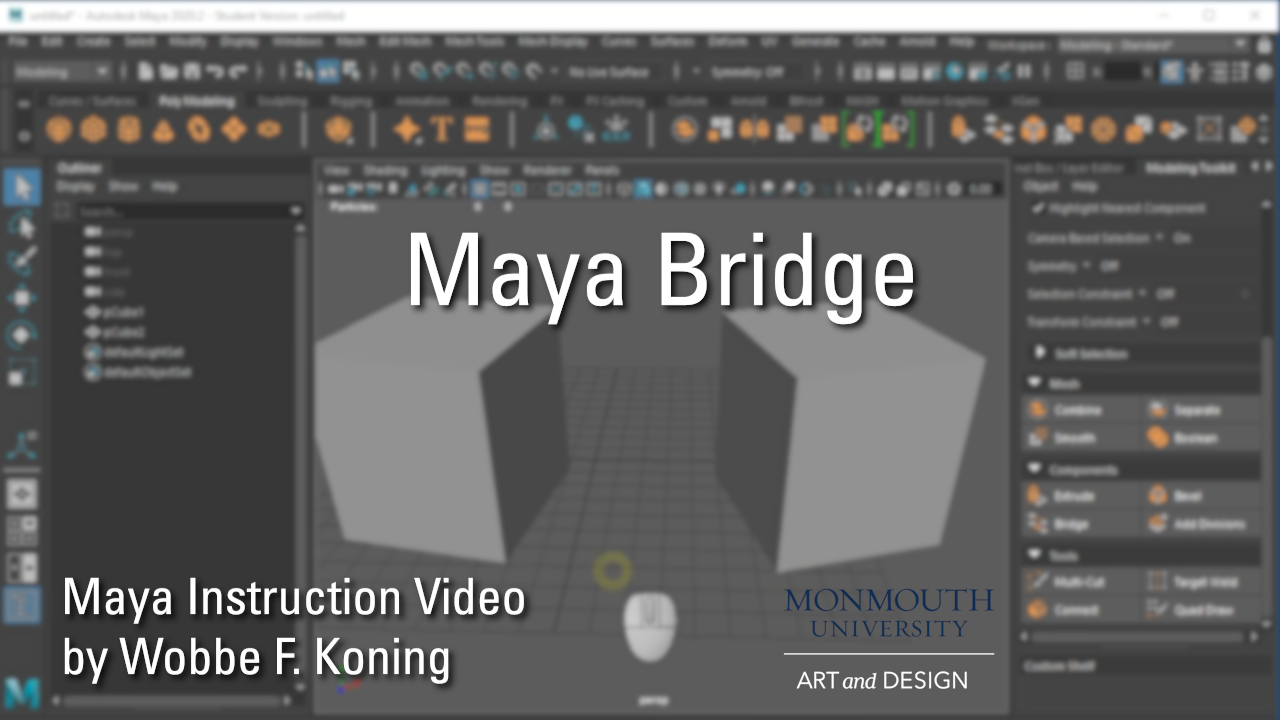 Bridge – Monmouth Animation Instruction Pages